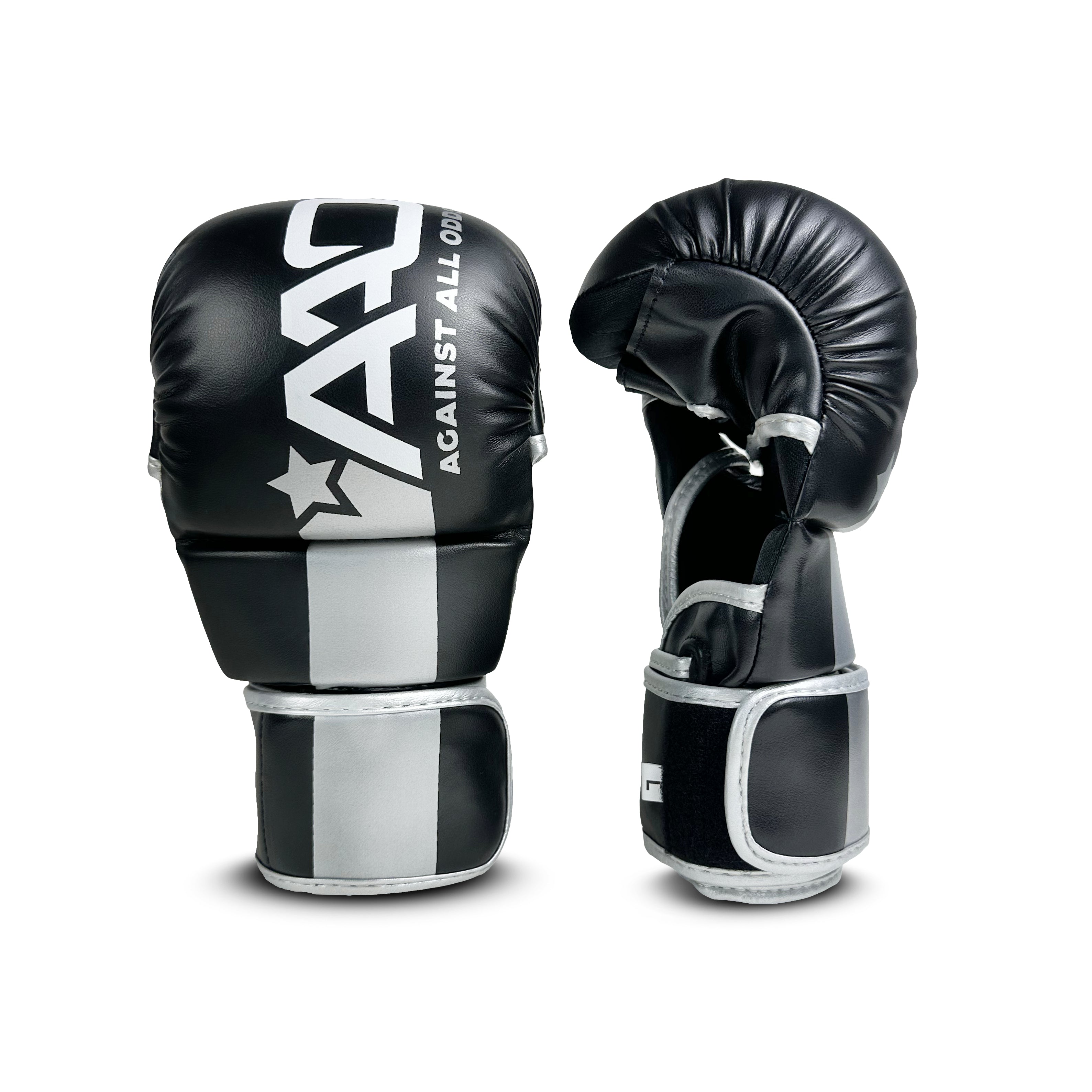 MMA – Aao-Fighting