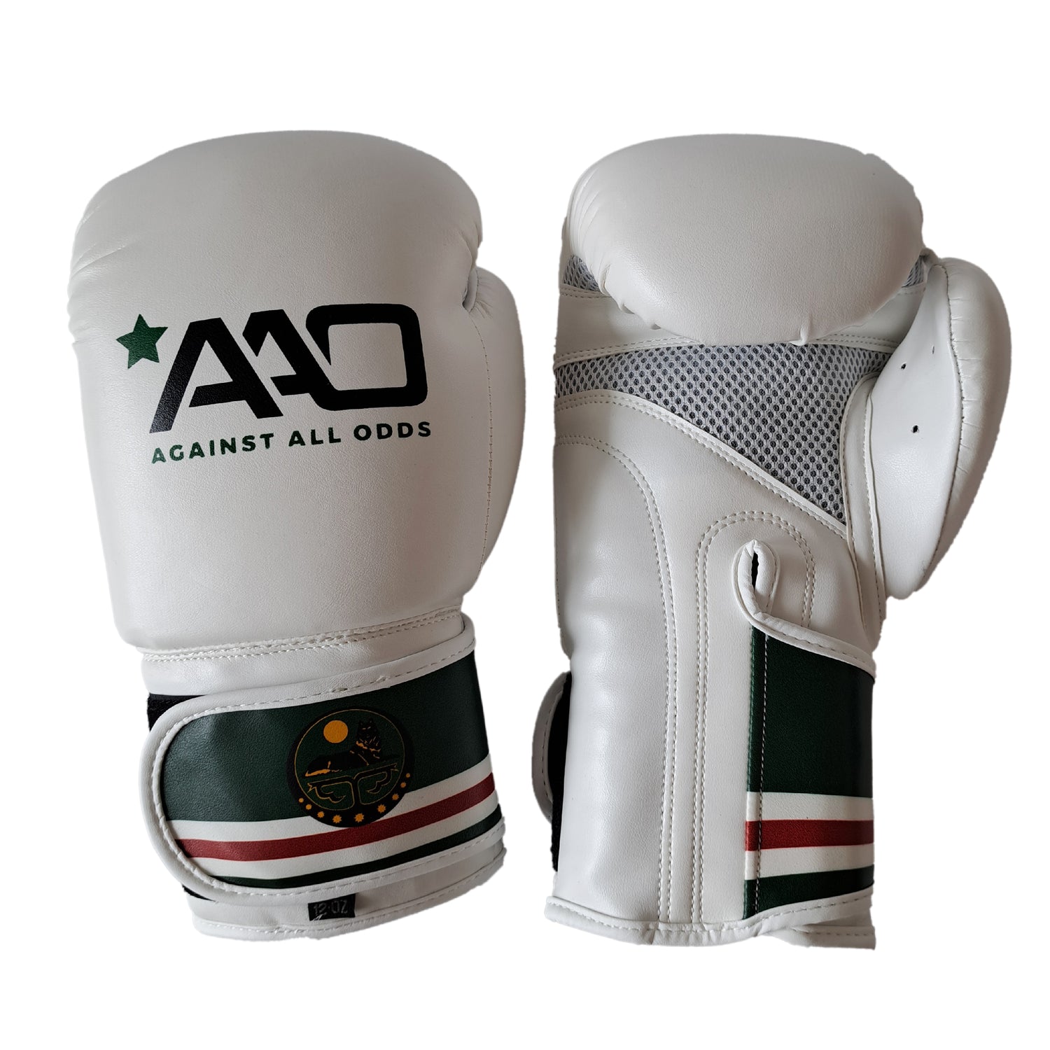 Tschetschenien Boxhandschuhe – Aao-Fighting