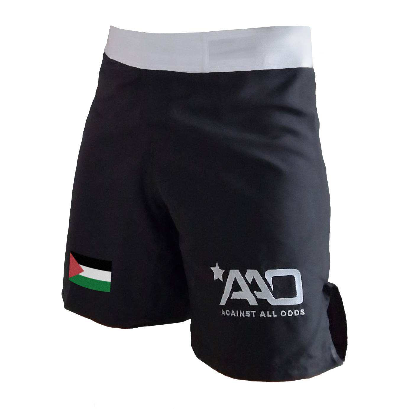 Palästina MMA Shorts – Aao-Fighting
